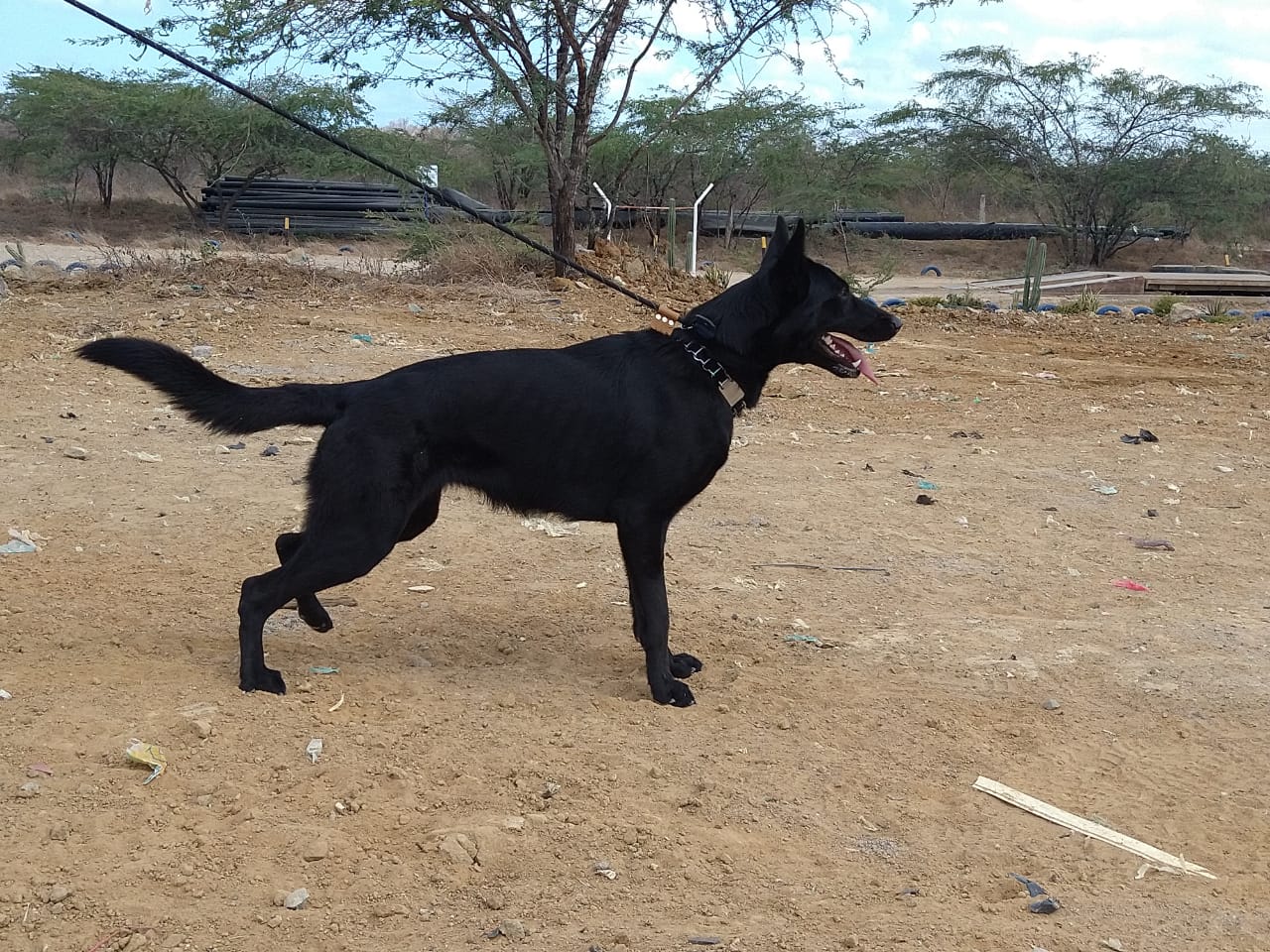 Inicio - Interaseo - Ibagué